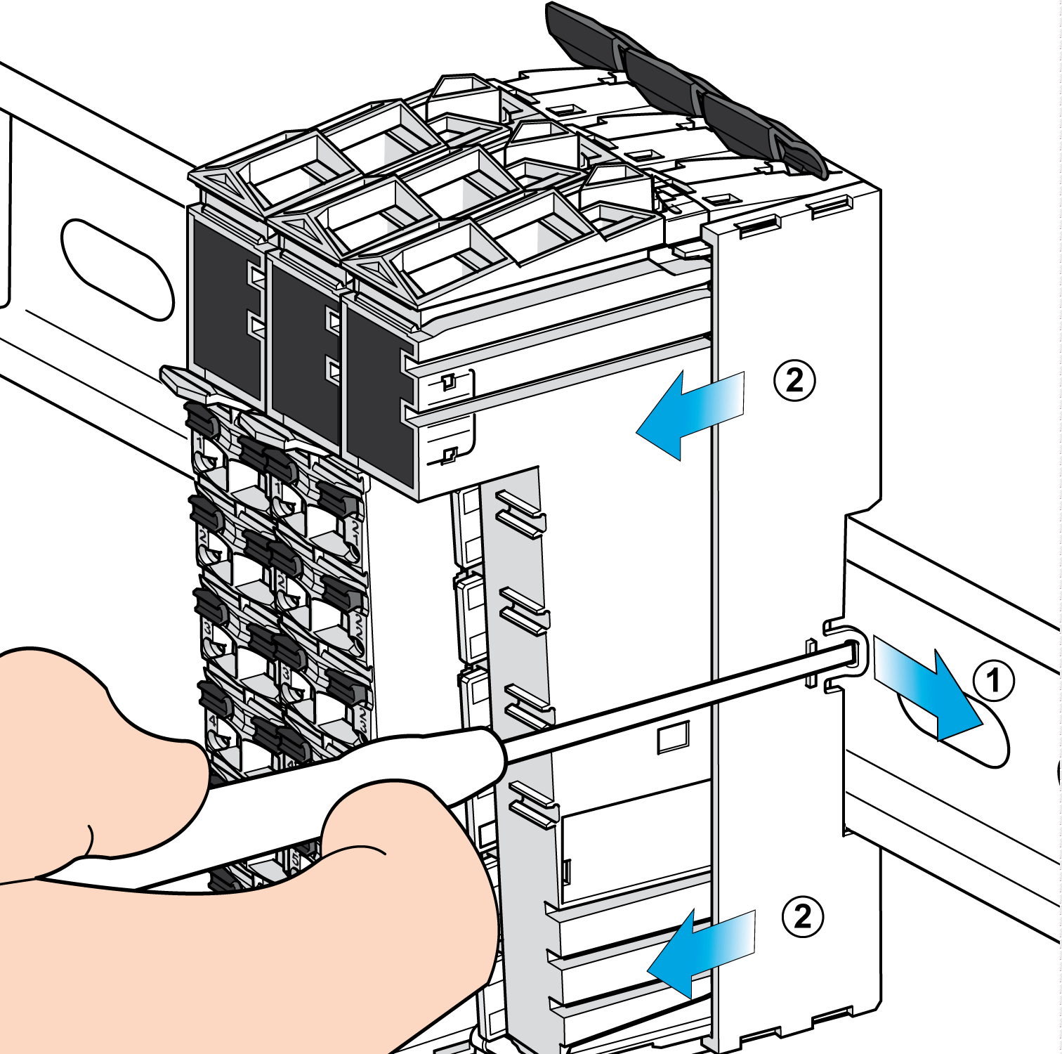 Expanding the TM5 System