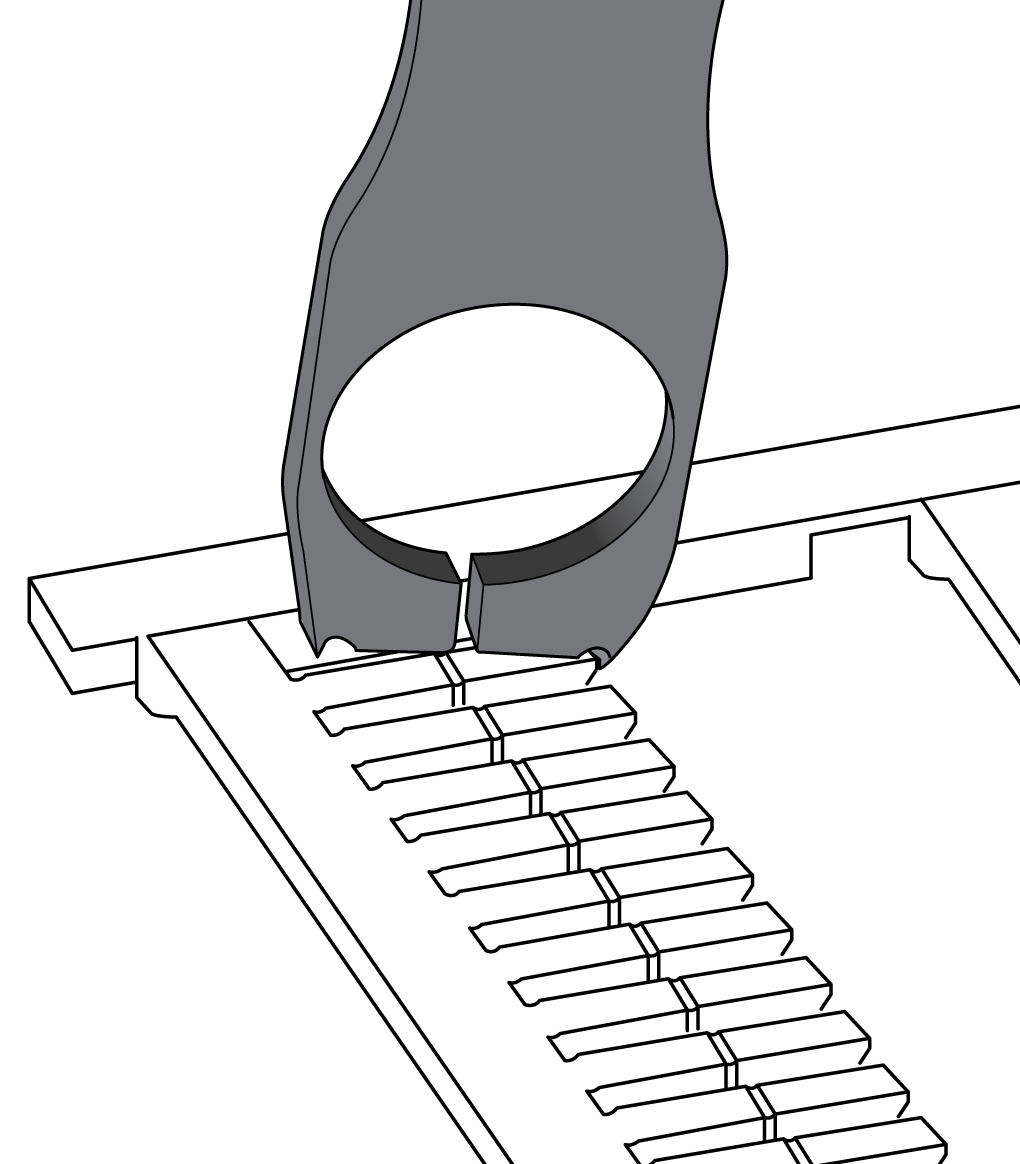 Labeling the TM5 System