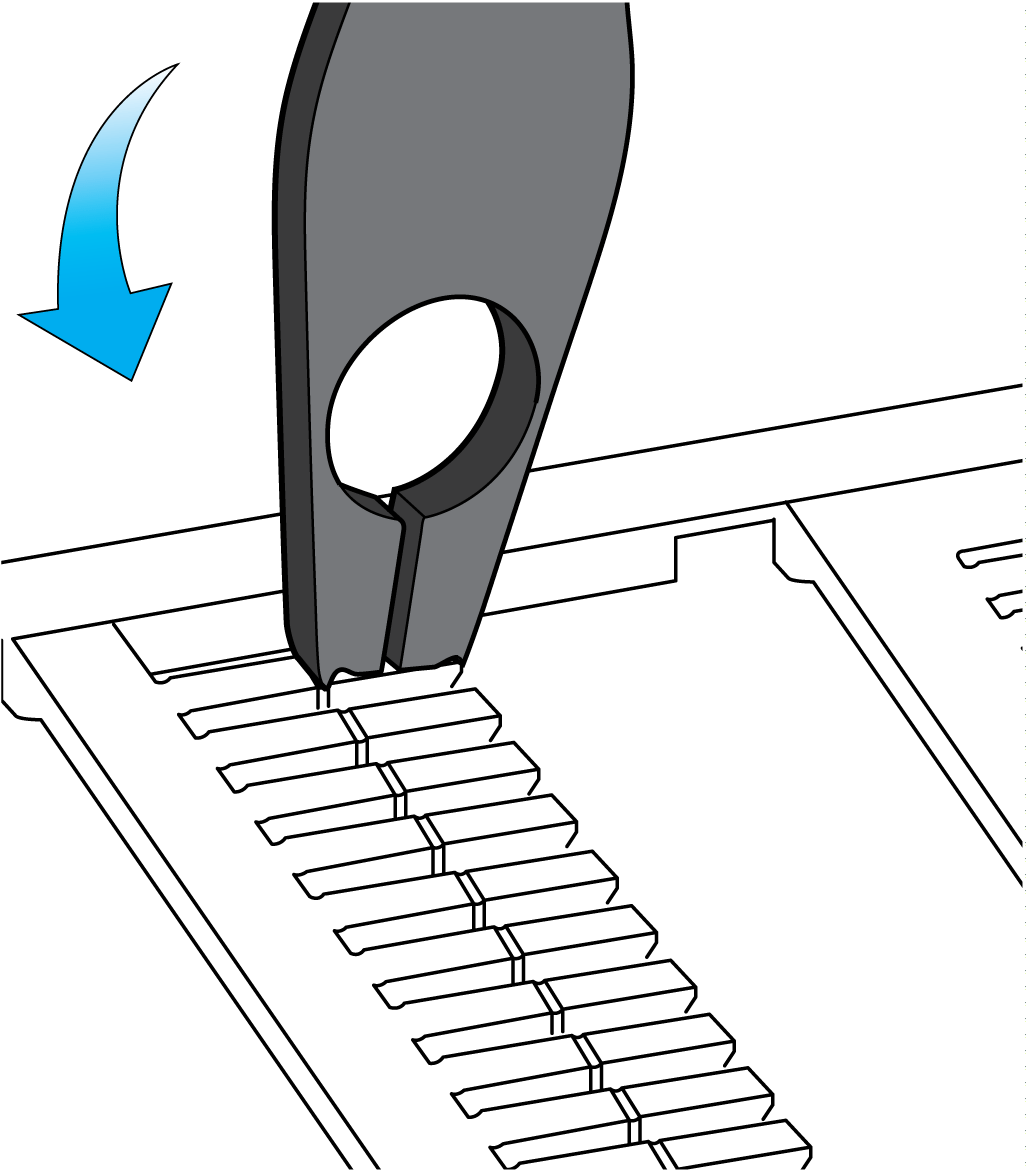 Labeling the TM5 System