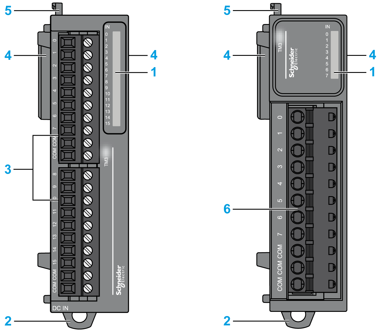 Physical Description